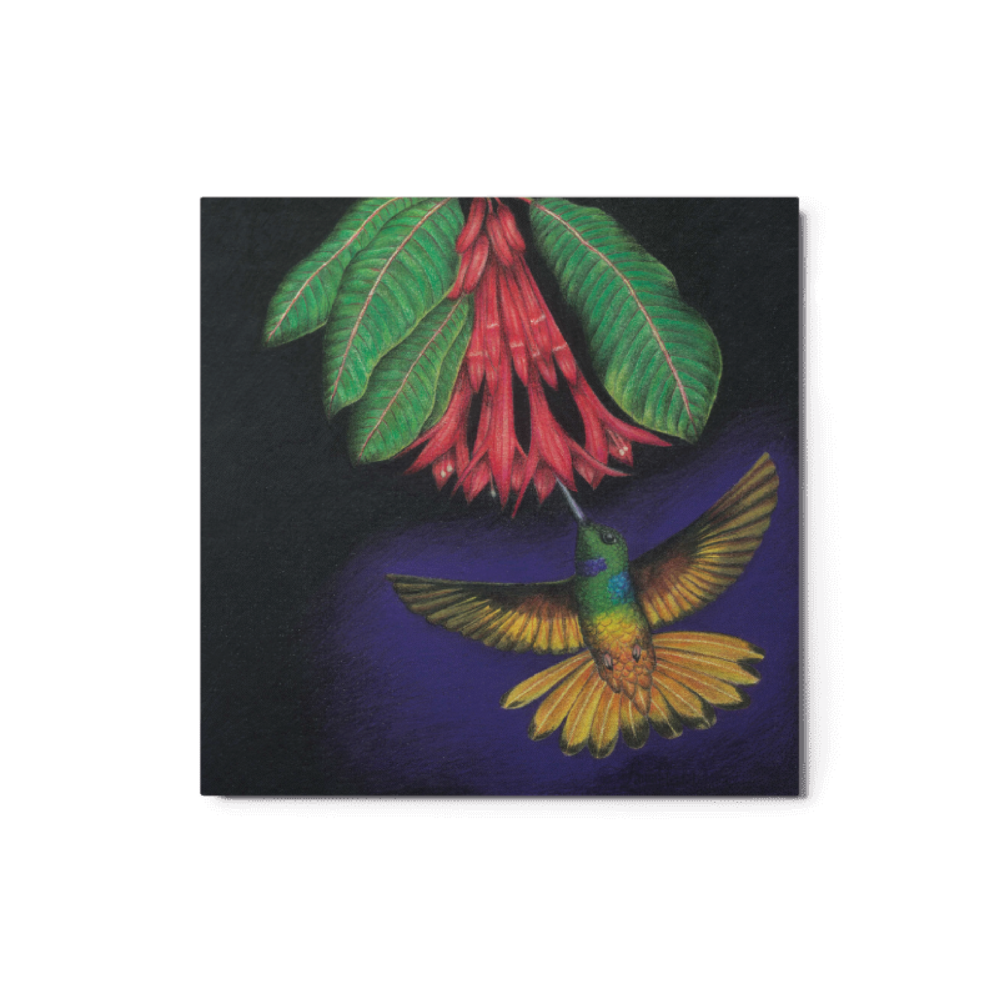 Colombian Artwork Prints - Tukui